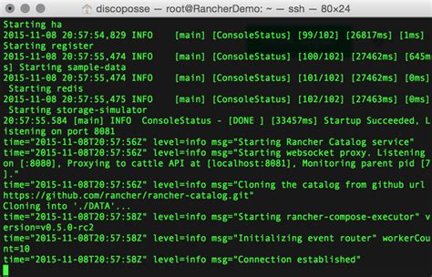 Rancher Part Installing Rancher And Setting Access Control DiscoPosse Com