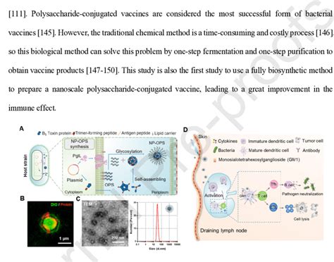 Self Assembled Proteinaceous Nanoparticles For Antigen Delivery 111 Download Scientific