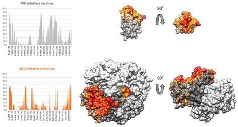 Blind Docking Simulations Fxnsod24 Left—histogram Of The Normalized