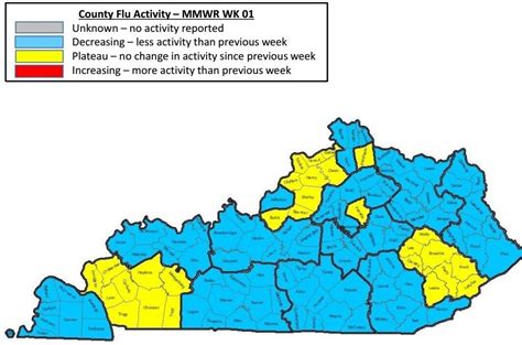 2022 2022 Weekly Flu Map