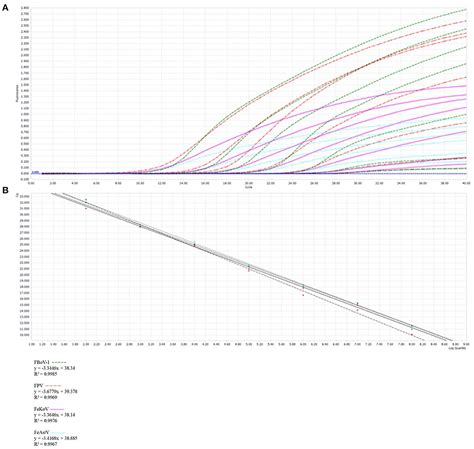 Frontiers Development Of A Taqman Based Multiplex Real Time Pcr For