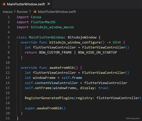 Flutter笔记：桌面应用 窗口定制库 Bitsdojowindowflutter Windows软件 窗口名称 Csdn博客