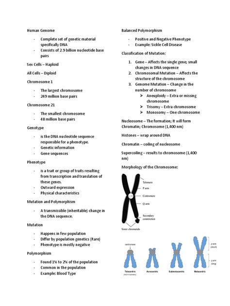 Prefinal Lab Topic I Nucleic Acid Amplification Pdf Pdf