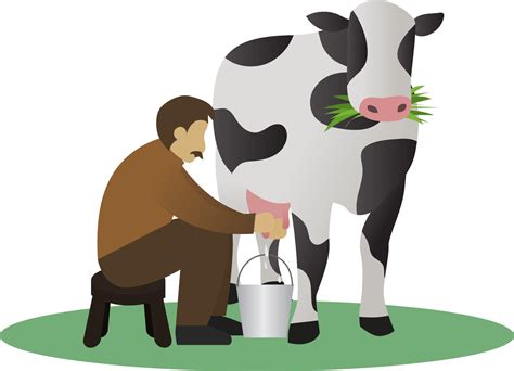 Milking A Cow Vector Illustration Cow Milk And Farmer Man Feeding A
