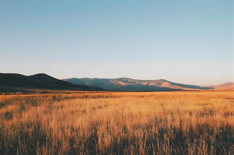 Golden Grass Field With Distant Mountain Range Under A Blue Sky