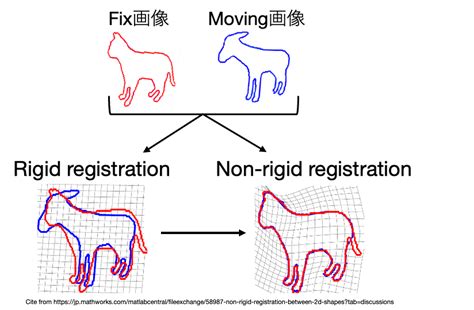 What Is Rigid And Non Rigid At Oscar Goff Blog
