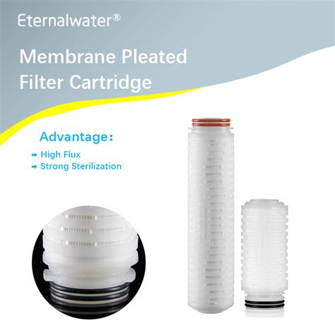 Final Sterilization Filtration 022um045um 10inch Pleated Filter