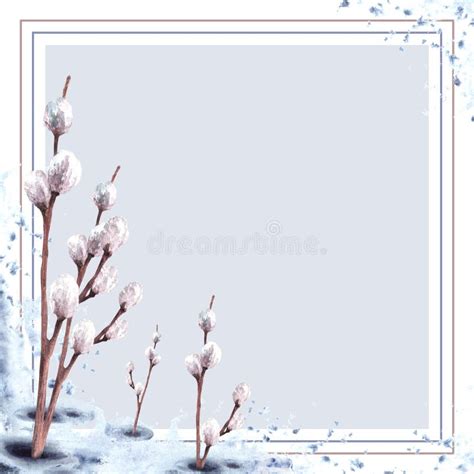 Willow Trees Branch Spring Card Watercolor Stains Background Easter