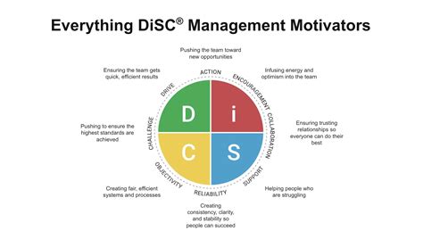 Everything Disc Management Profile Sample Report At Karen Medina Blog