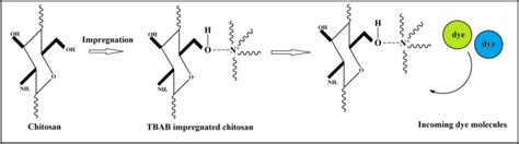四丁基铵浸渍壳聚糖吸附去除水体中有害致癌染料 Chemistry Africa X Mol