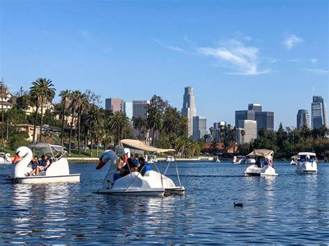 Echo Park Lake Swan Pedal Boat Rental The Abroad Guide