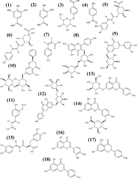Figure 2 From Comparative Hplc Dad Esi Qtof Ms Ms Analysis Of Bioactive Phenolic Compounds