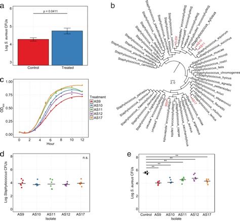 Topical Antimicrobial Treatments Can Elicit Shifts To Resident Skin Bacterial Communities And