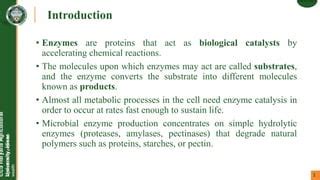 Microbial Production Of Enzyme Ppt Pptx