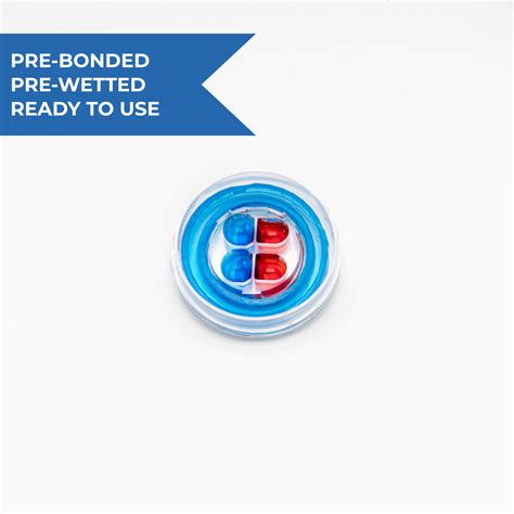 Neuromuscular Junction Labeled Junctional Folds