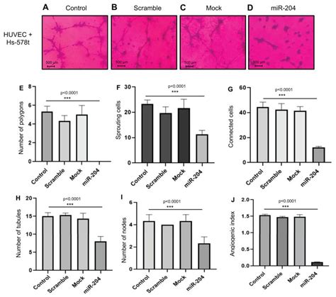Non Coding Rna Journal On Linkedin Microrna Cancer Cells Ncrna