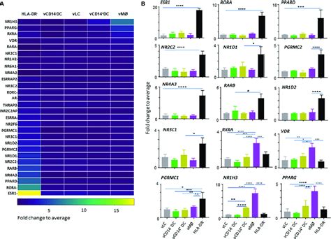 HLA DR Cells In The Vaginal Tissues Express A Large Array Of Nuclear Download Scientific