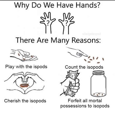 Meme Why Do We Have Hands Risopods