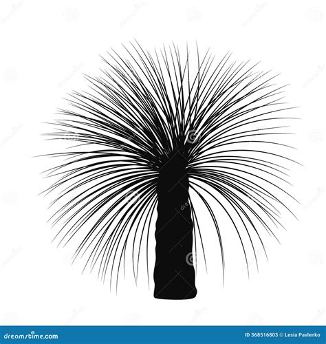 3d Illustration Of Xanthorrhoea Arborea Tree Isolated On White