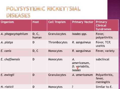 Vector Borne Diseases Lecture 10 Flashcards Quizlet