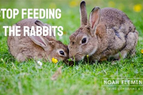 Fleming Consulting And Co Noah Fleming Is The Person You Talk To When You Want To Discover The