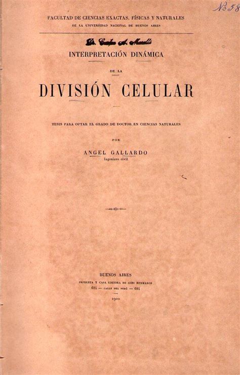 Interpretacion Dinamica De La Division Celular Tesis Para Optar El