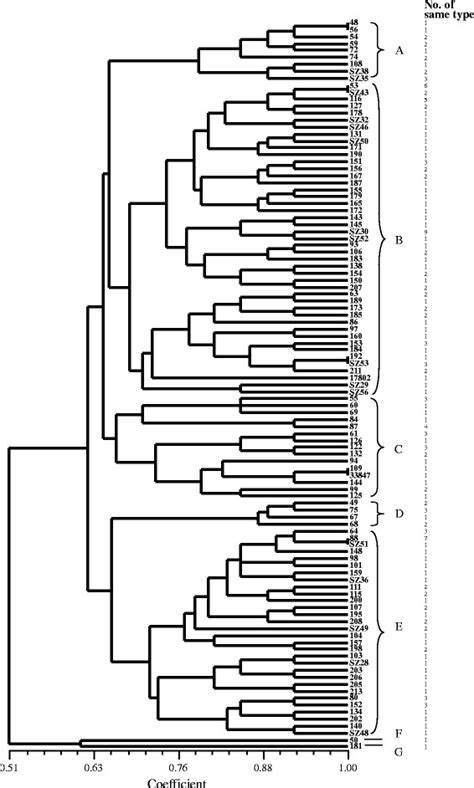 Eric Pcr Dna Fingerprint Analysis Of Vibrio Parahaemolyticus Isolates