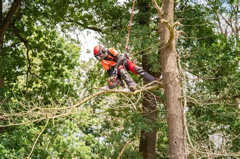 Eurocircuit Eurocircuit Added A New Photo