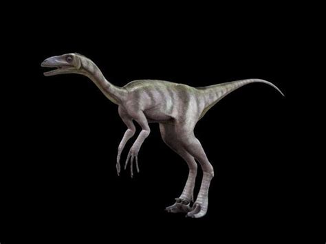 Troodon Pictures And Facts The Dinosaur Database