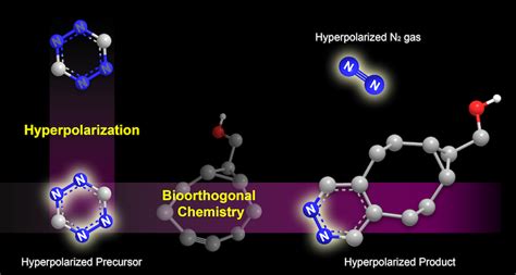 Mri Tags Stick To Molecules With Chemical “velcro®” Research Blog