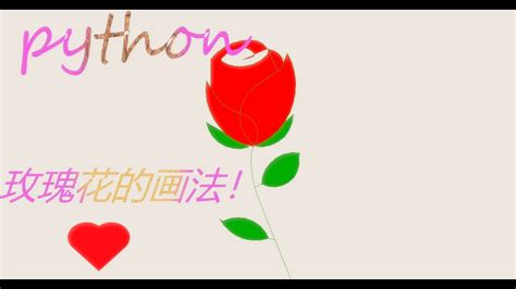 Python 玫瑰花的画法! Youtube Python 玫瑰花的画法! Youtube