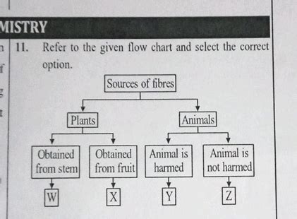 MISTRY 11 Refer To The Given Flow Chart And StudyX