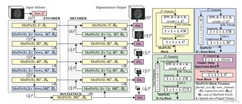 mednext transformer driven scaling of convnets for medical image