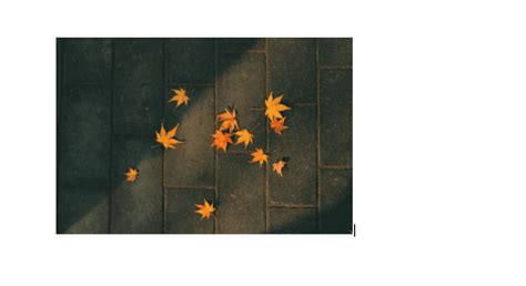 How To Overlap Images In Google Docs OfficeBeginner