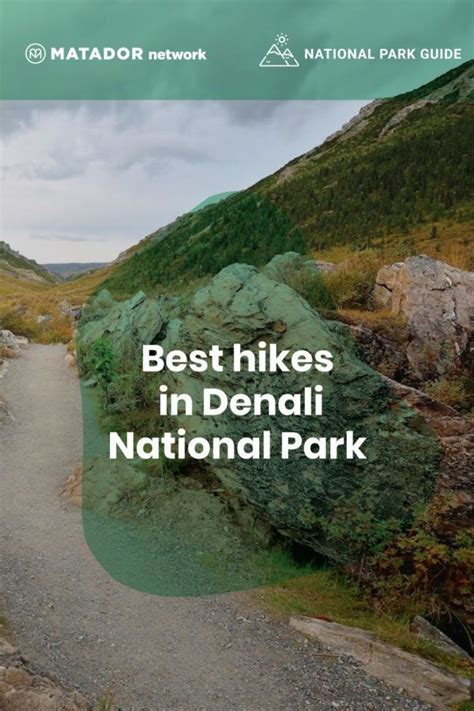 Best Denali National Park Hikes And Trekking