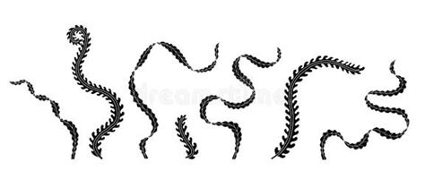 Legant Curvy Art Nouveau Style Seaweed Hand Drawn Monochrome Silhouette