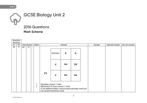 Wjec Gcse Biology Unit 2 Sample Paper Teaching Resources