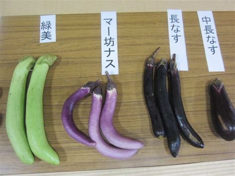 野菜ソムリエクラブ なす ”農”と言える！？