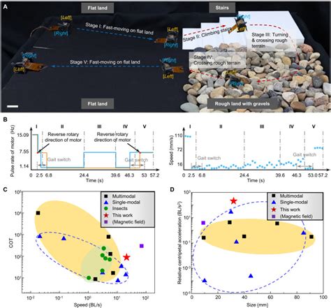 An Agile Multimodal Microrobot With Architected Passively Morphing Wheels Pmc
