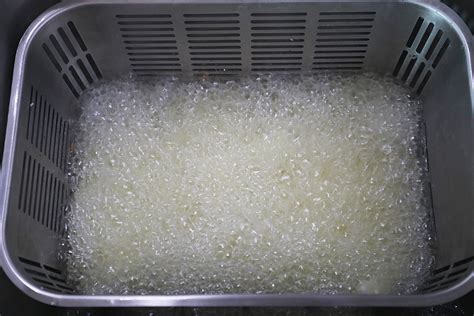 감자튀김 후렌치후라이 집에서 튀기기