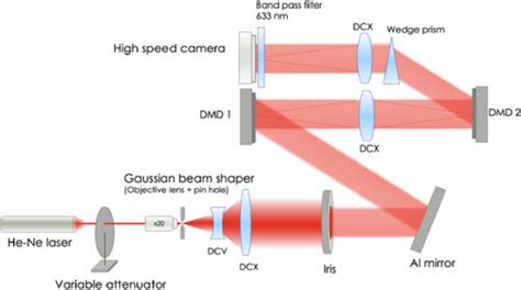Optical 4f System Setup Using Dmds For Coherent Optical Information