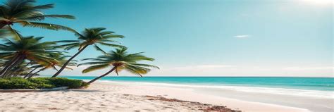 Qgis中文设置具体在哪个菜单或选项里修改？