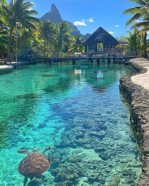 Bora Bora Island R Itstoolate