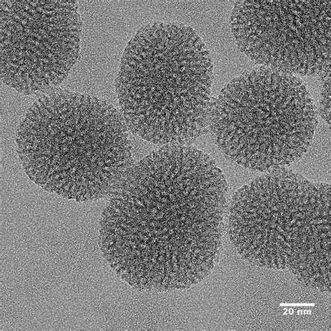 New Nanoparticle To Act At The Heart Of Cells For Extremely Powerful And Targeted Anti