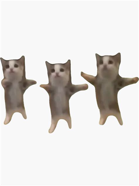 Happy Happy Happy Cats Meme Sticker For Sale By Misscouchpotato