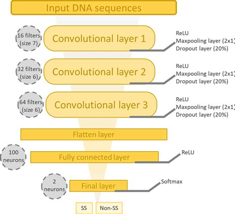 Representation Of The Cnn Architecture The Architecture Is Composed Of