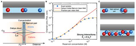 Pair Enhanced Mean Field Theory A Treatment Of Ion Pairing In Download Scientific Diagram