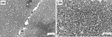 Sem Se Microstructure Showing A Carbides Along The Grain Boundary B