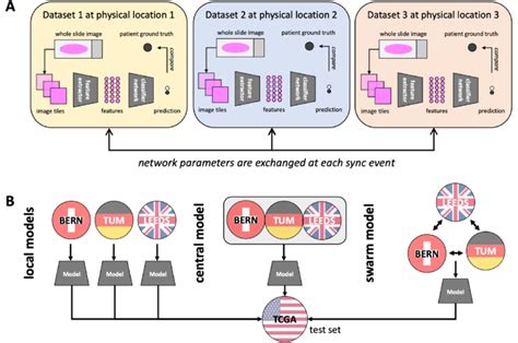 Outline Of This Study A Technical Setup Of The Swarm Learning