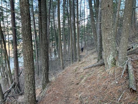 Cougar Bay Preserve